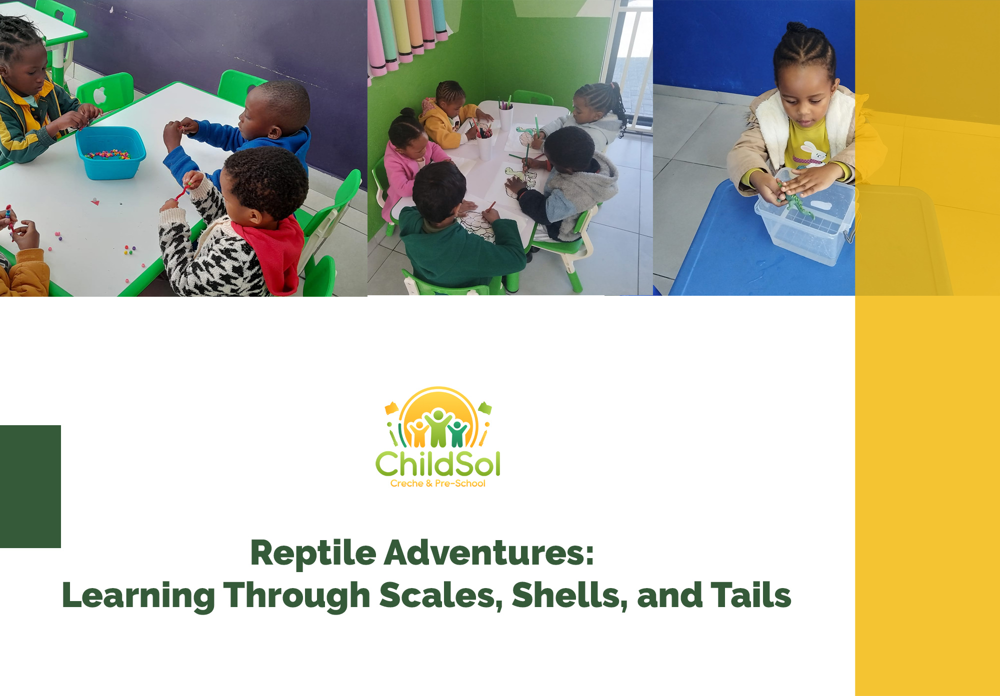 Reptile Adventures: Learning Through Scales, Shells, and Tails ...